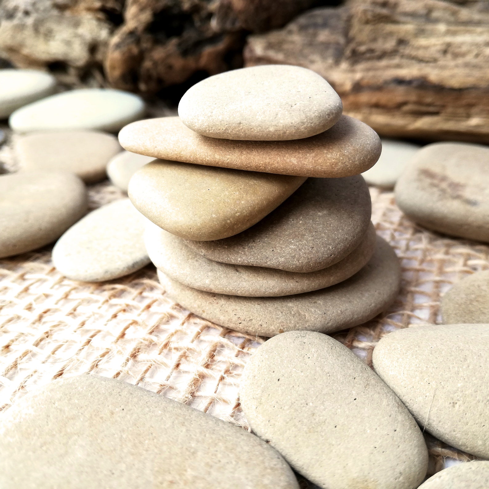 Beige Stones 20-55 Set Sea Pebbles Craft Natural Flat Beach - Etsy