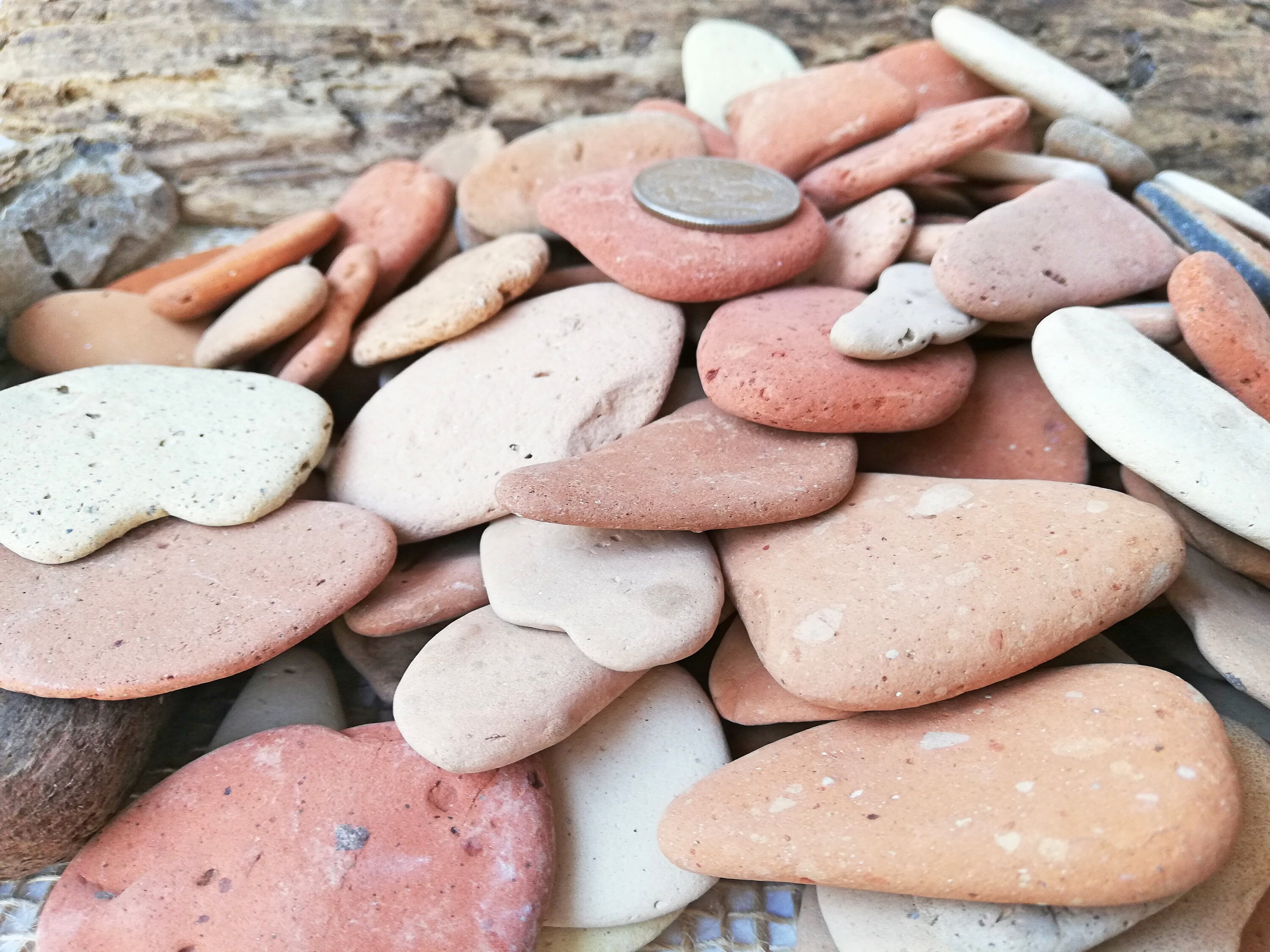 Bulk Lot 15 45 Sea Flat Terracotta Beach Pottery Craft | Etsy