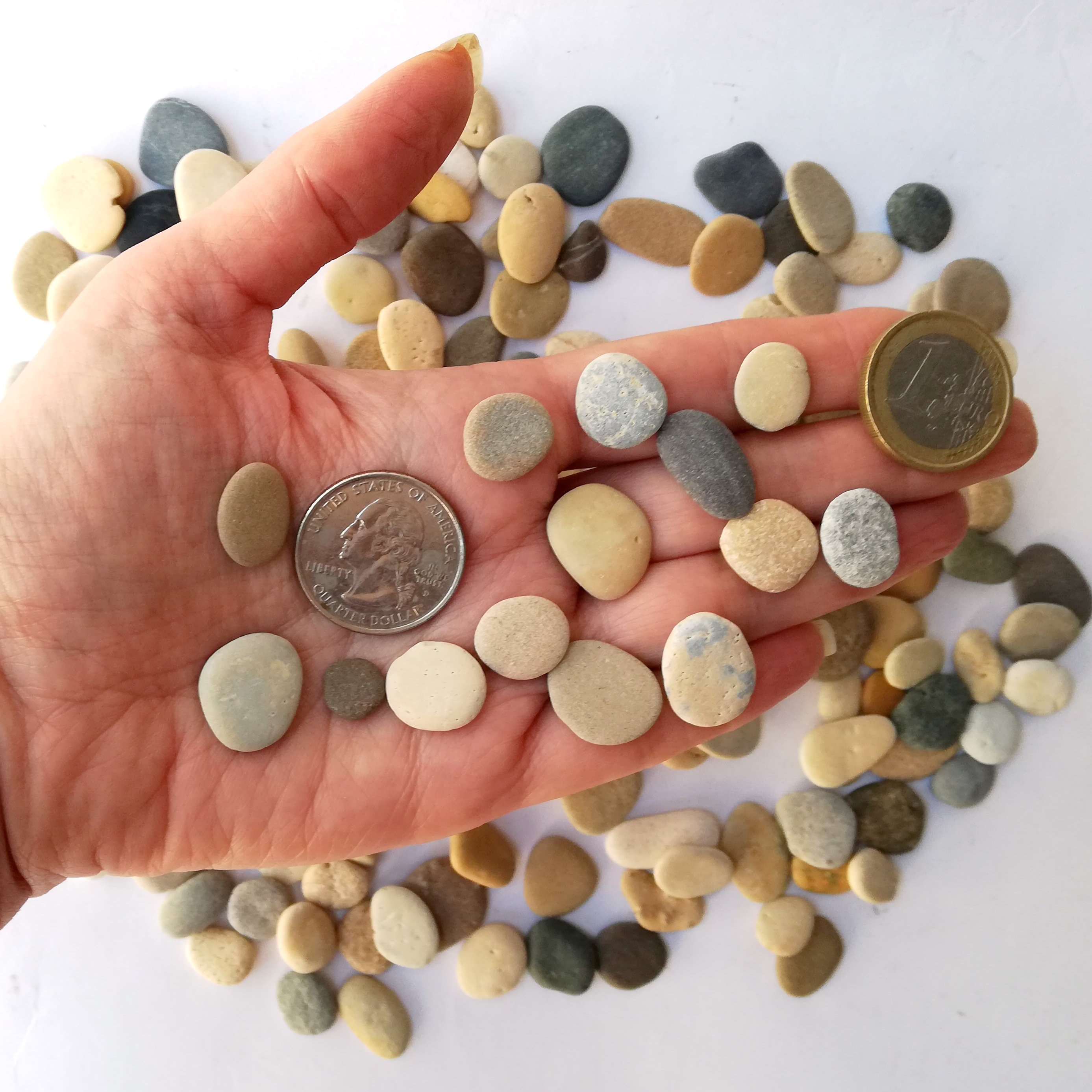 Beach Small Stones Lot 20-160 Set Pebbles Craft Natural Sea | Etsy