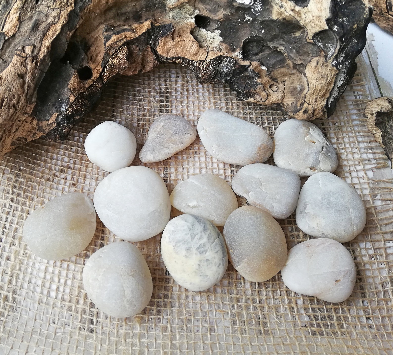 White Quartz Lot 13 Beach Round Sea Rocks White Tumble Stone - Etsy