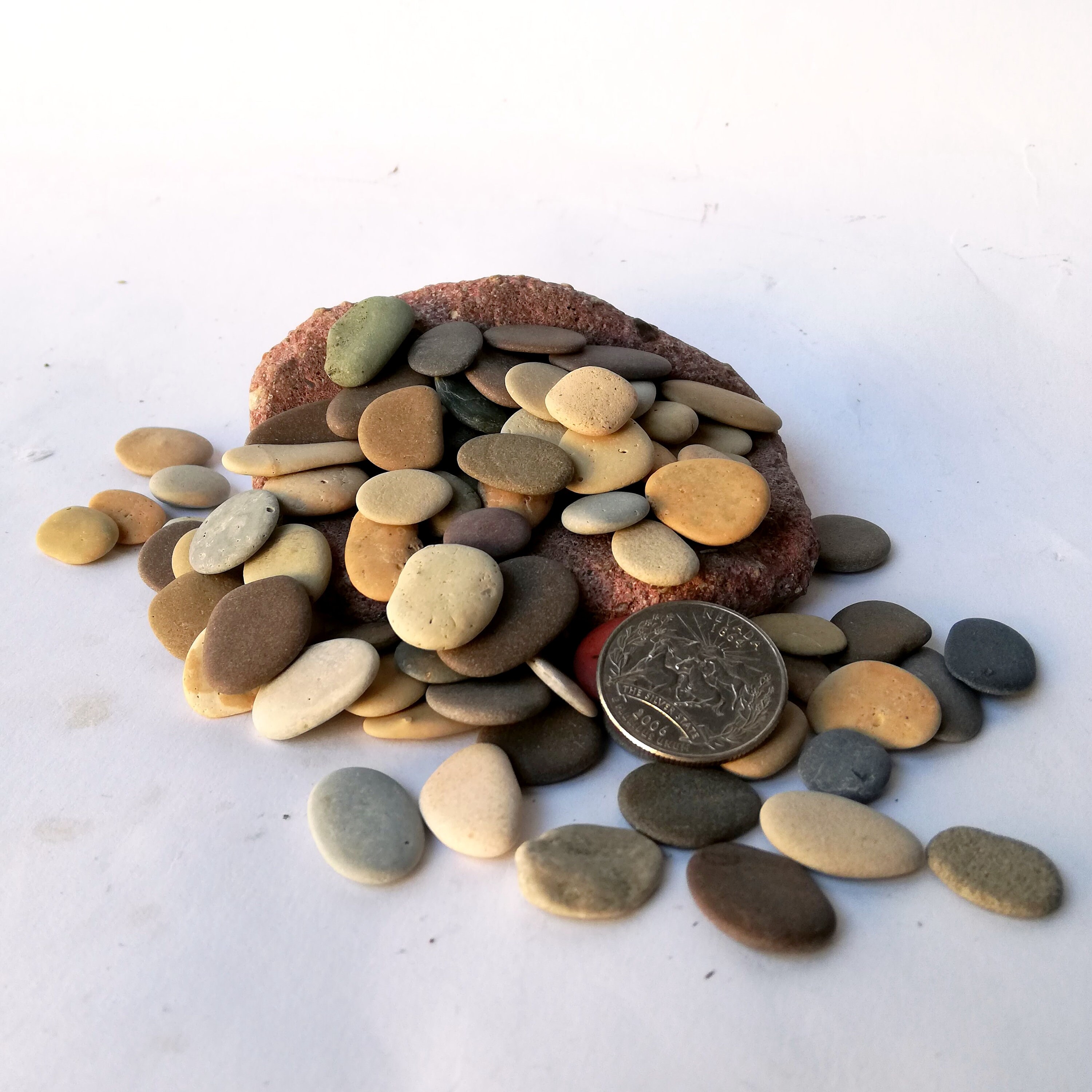 Beach Small Stones Lot 20-160 Set Pebbles Craft Natural Sea | Etsy