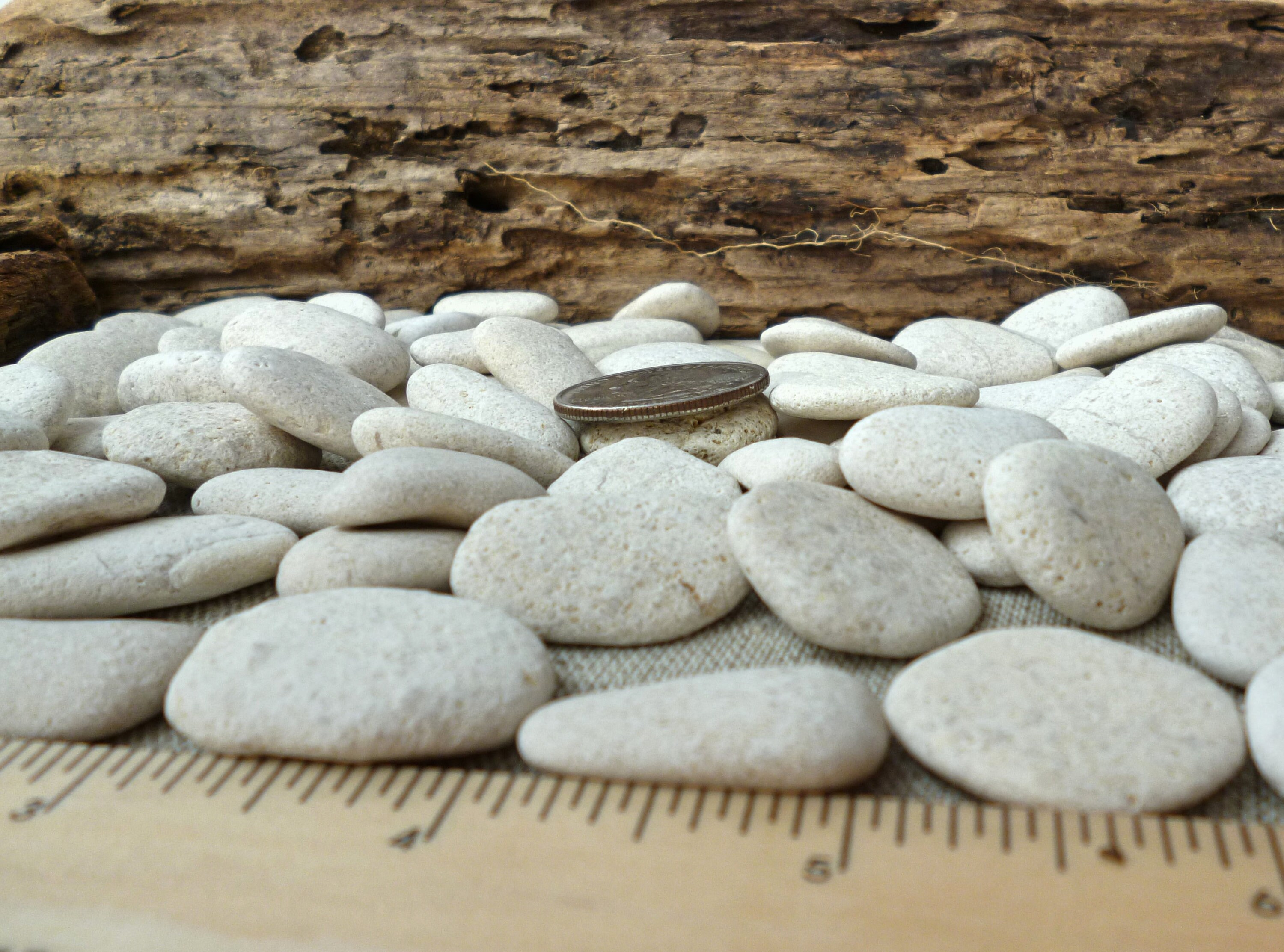 White Beach Stones 50-150 Set Sea Rocks Pebbles Flat Oval - Etsy