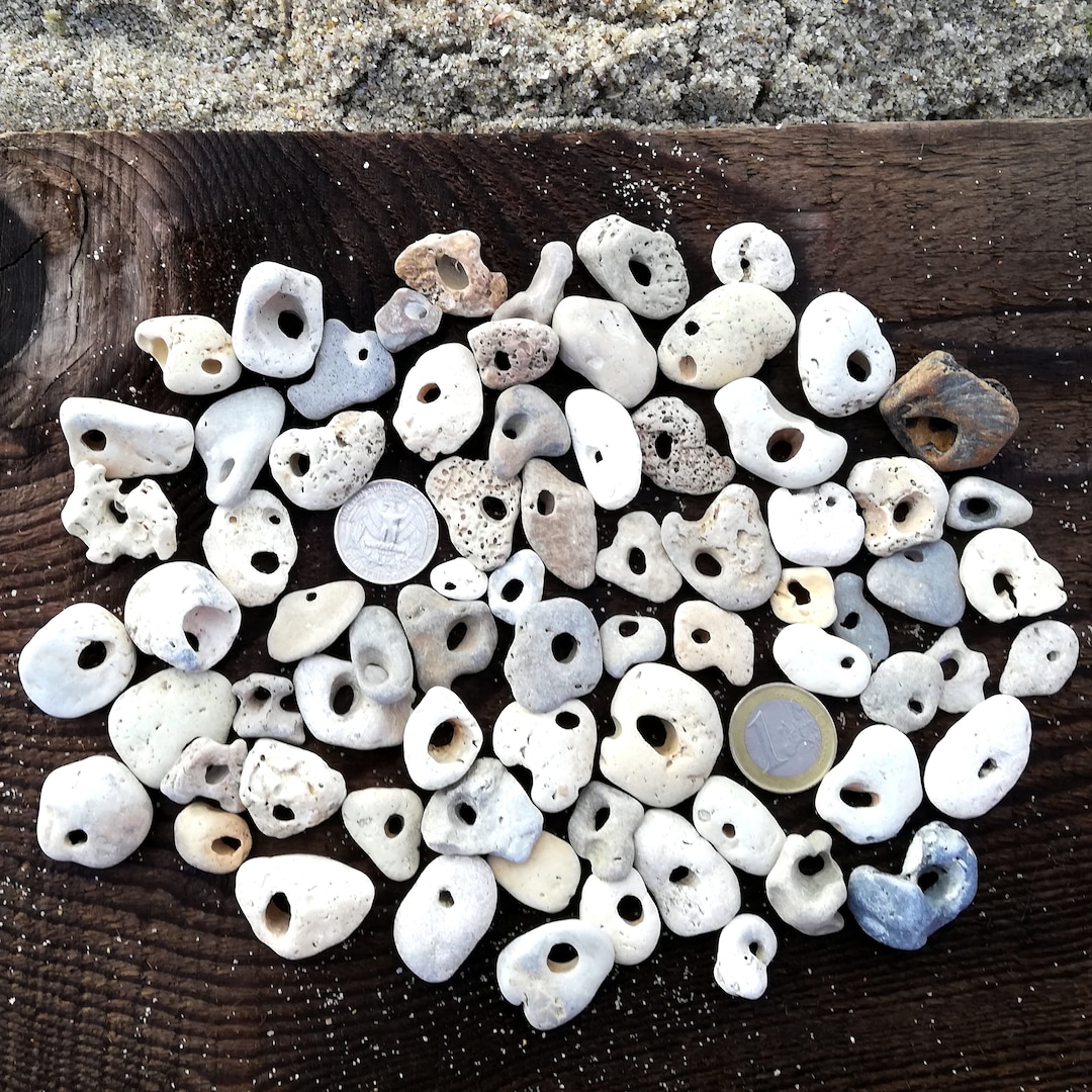 Bulk 5-50 Lot Natural Holey Beach Stones Hag Stones Rare Beach Stone ...