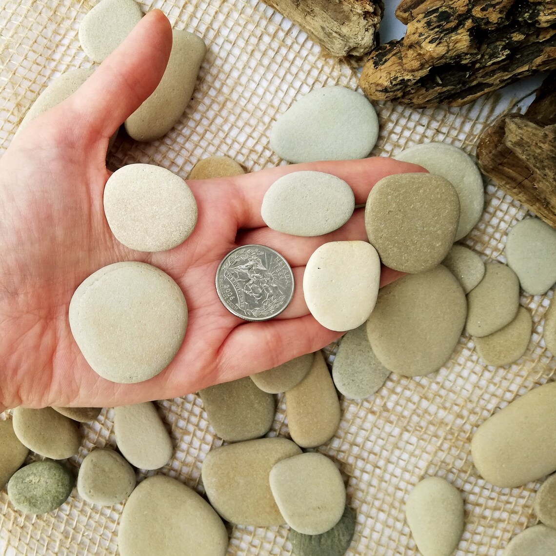 Beige Stones 20-55 Set Sea Pebbles Craft Natural Flat Beach - Etsy