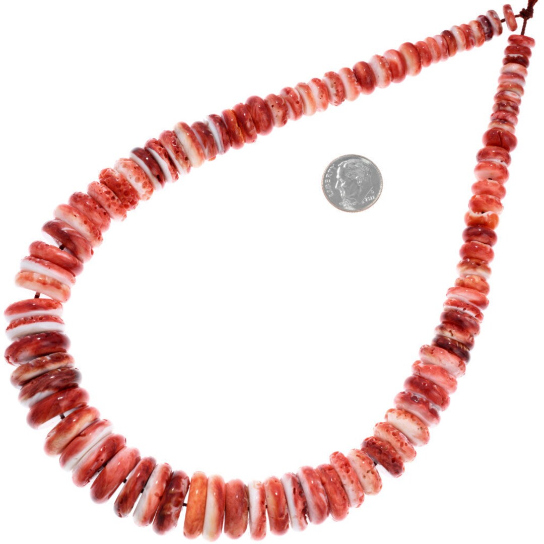 Natural Spiny Oyster Shell Beads Large Graduated 8mm to 18mm Discs 16 ...