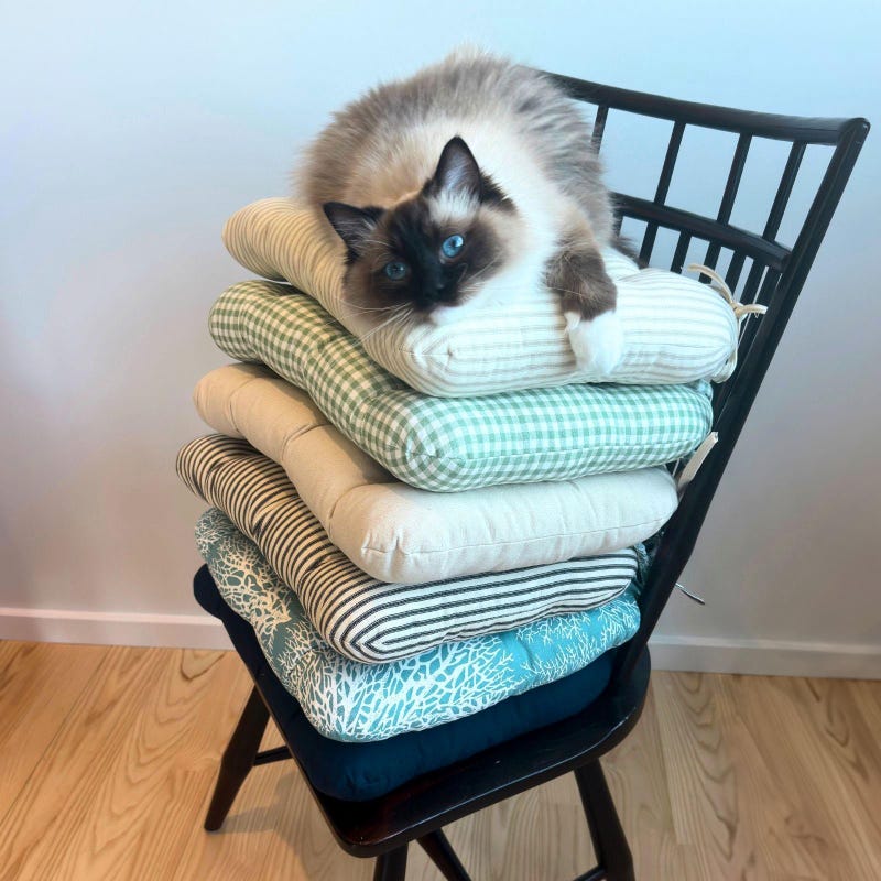 Striped Cushions - Etsy