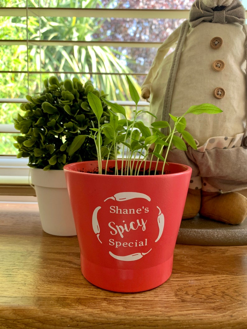 Personalised Plant Pot Birthday Anniversary Friendship Fun - Etsy UK