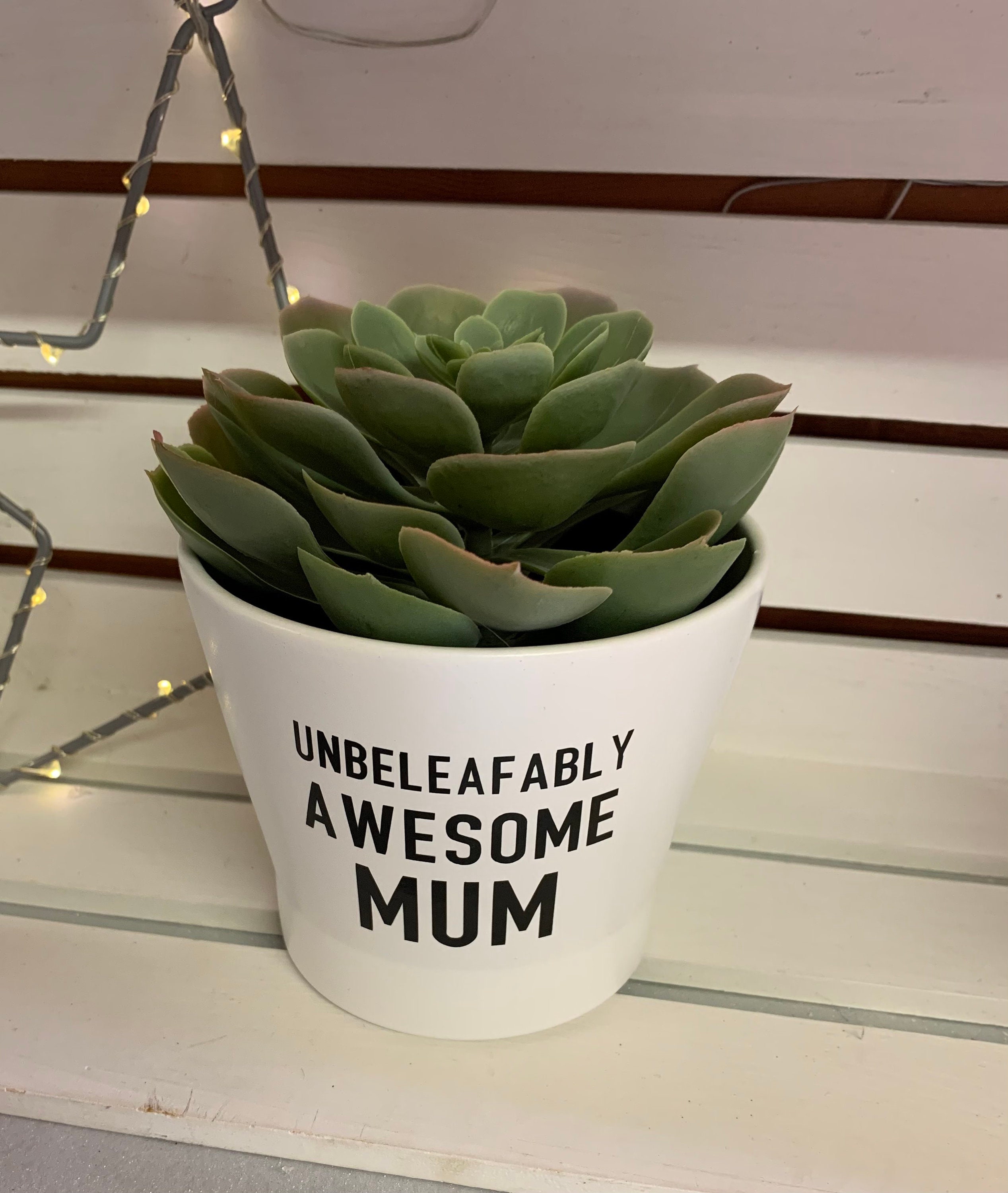 Personalised Plant Pot Birthday Anniversary Friendship Fun - Etsy UK