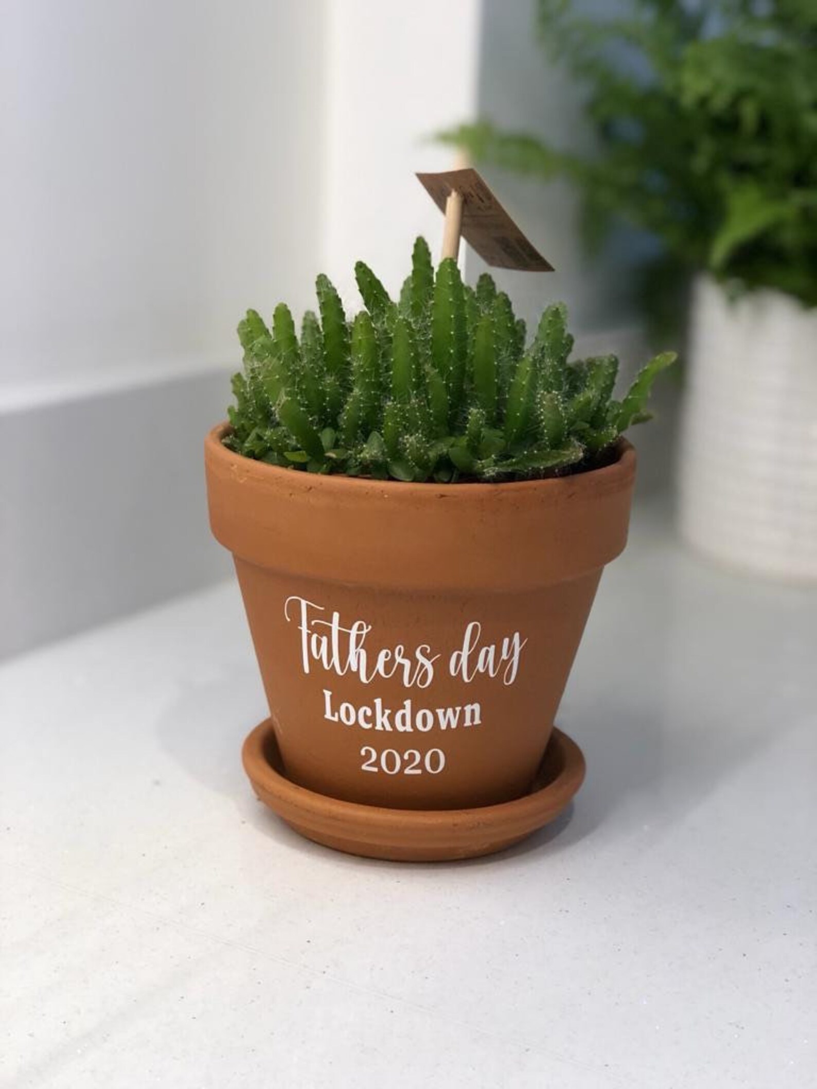 Personalised Plant Pot Birthday Anniversary Friendship Fun - Etsy UK