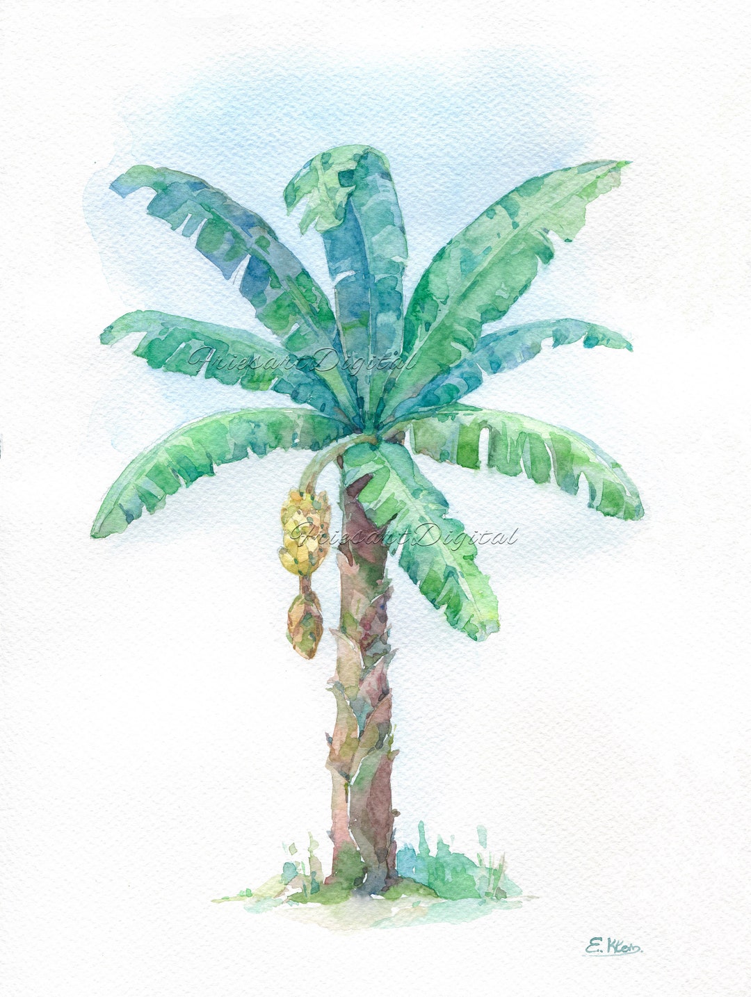 Watercolor Banana Palm, Tropical Tree Living Room Decoration Original ...