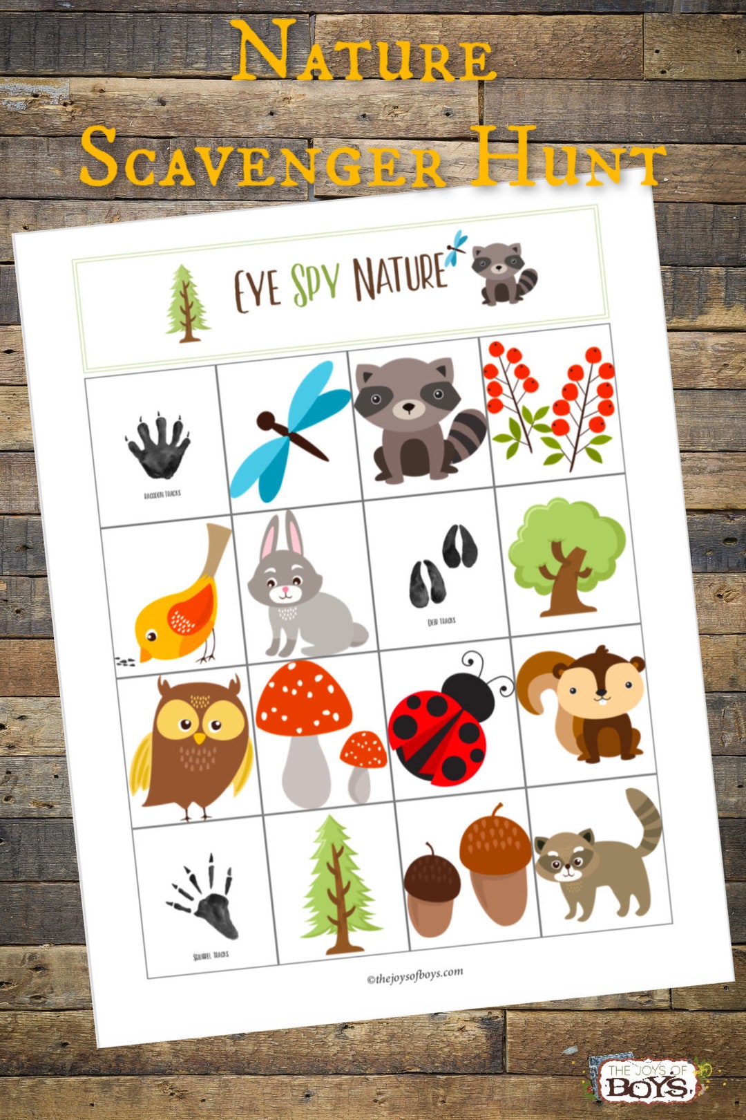 Eye-spy Nature Scavenger Hunt - Etsy