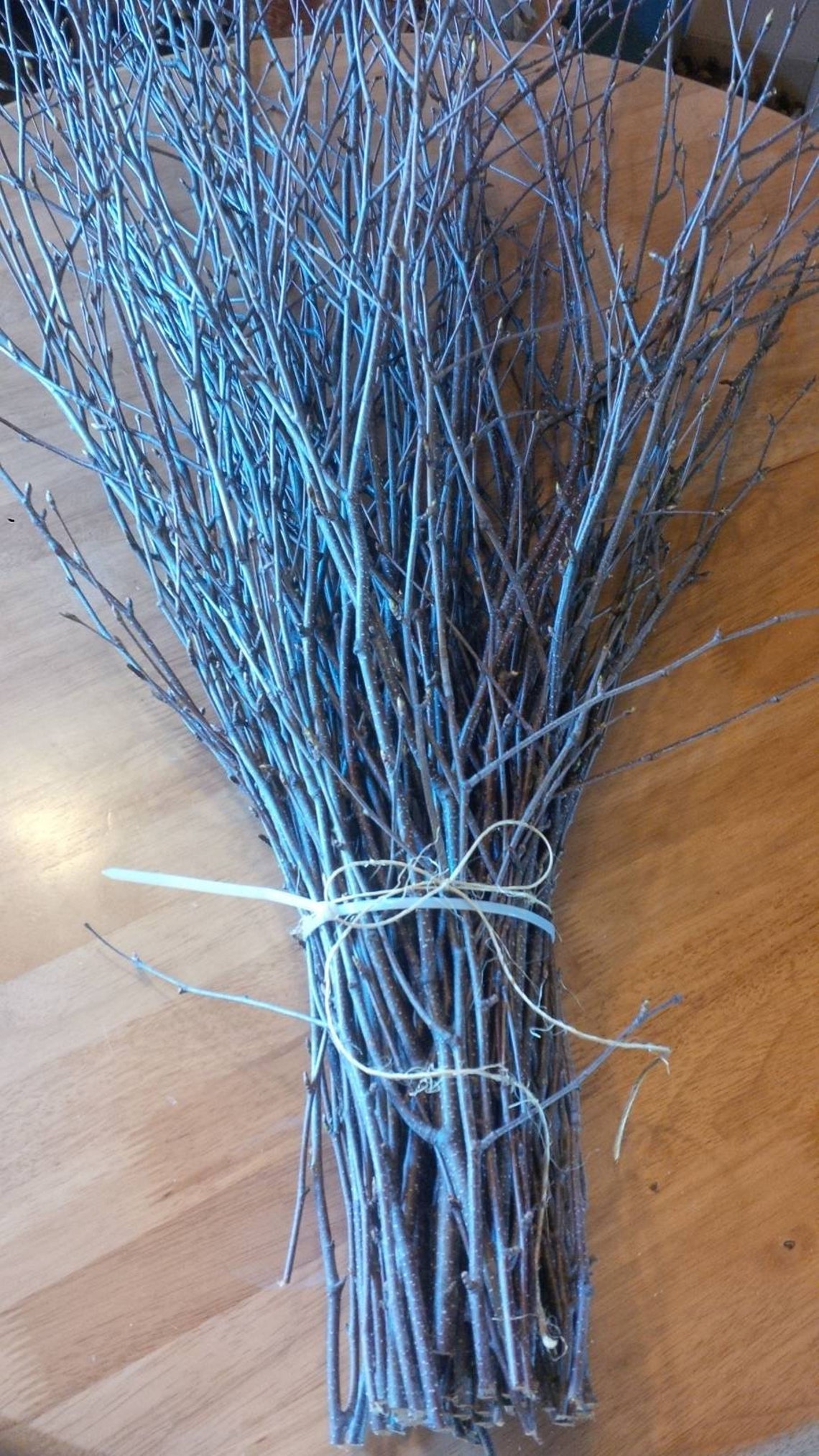 Bundle of Birch Twigs,birch Tree,birch Branches,white Birch,arrangement ...