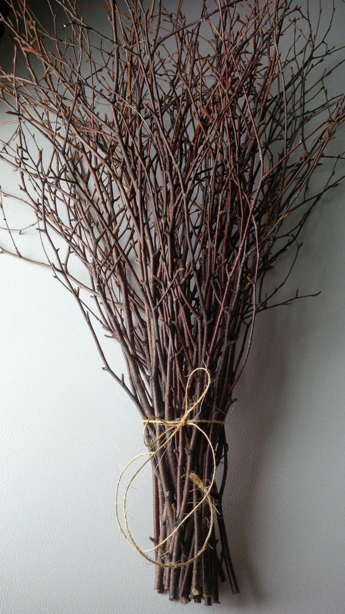 Bundle of Birch Twigs,birch Tree,birch Branches,white Birch,arrangement ...