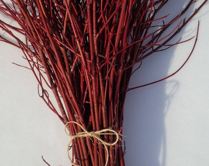 Real Red Dogwood Wands Real Willow Sticks Twigs Wooden Twigs - Etsy