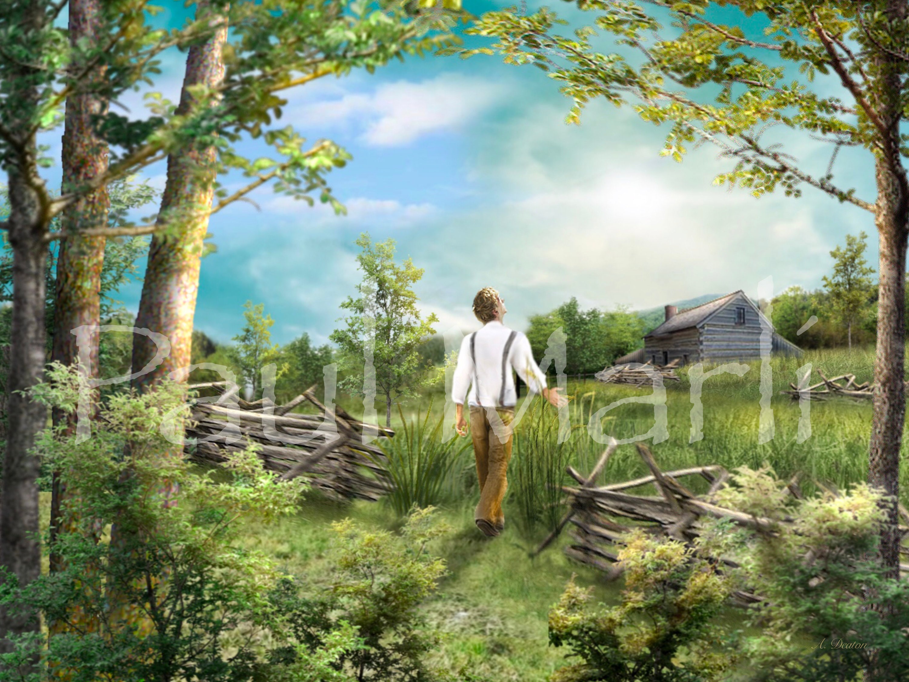 Sacred Grove Joseph Smith