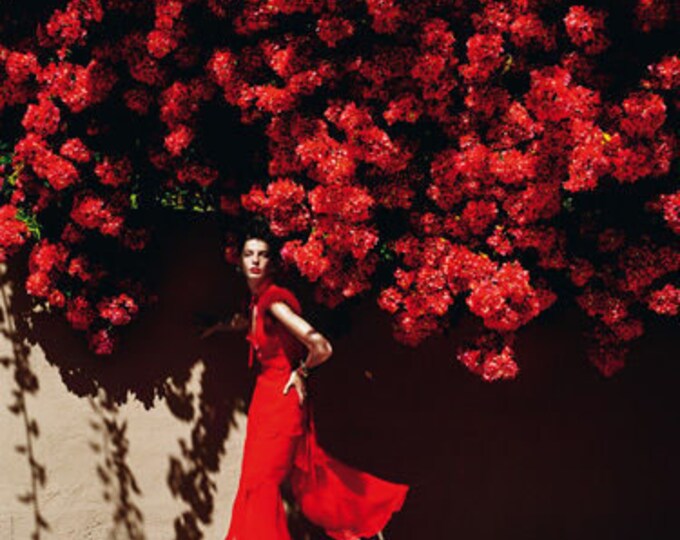 Mario Testino Top Fashion Photographer Daria Werbowy Exhibition Art ...