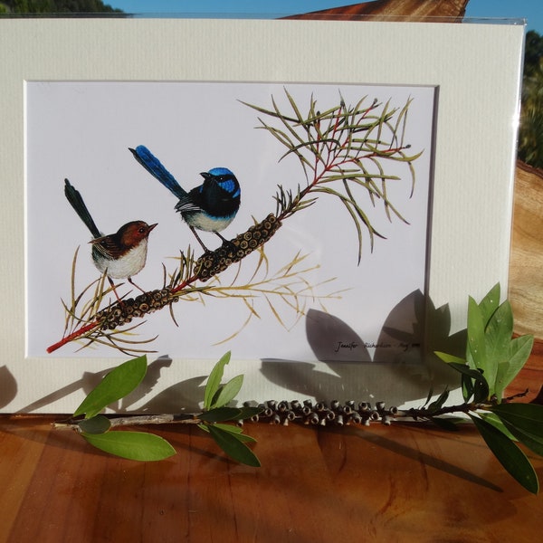 Blue Wren - Etsy Australia