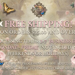 Enchanted Hour Tea™ Organic Tea Witches Brew Witchs' Herbal Tea ...