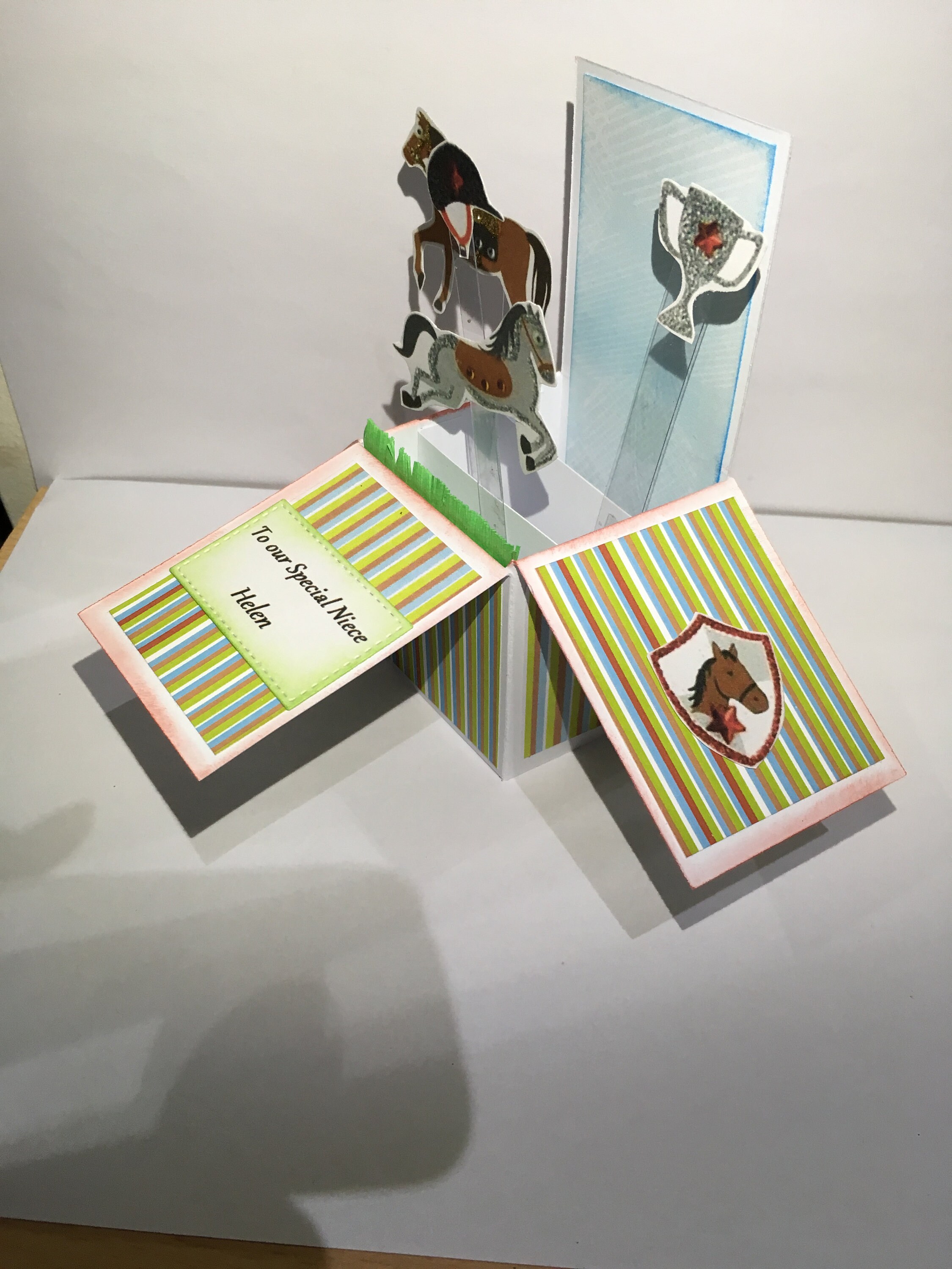 Horse Riding Pop up Box Card - Etsy
