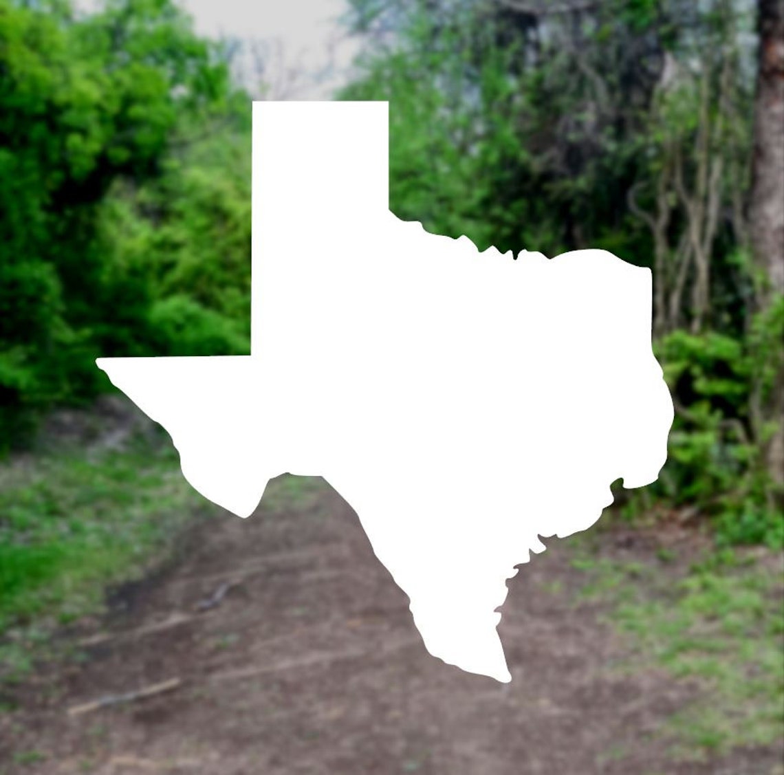 Texas State Silhouette [PICK COLOR] Vinyl Decal Sticker for Laptop/car ...