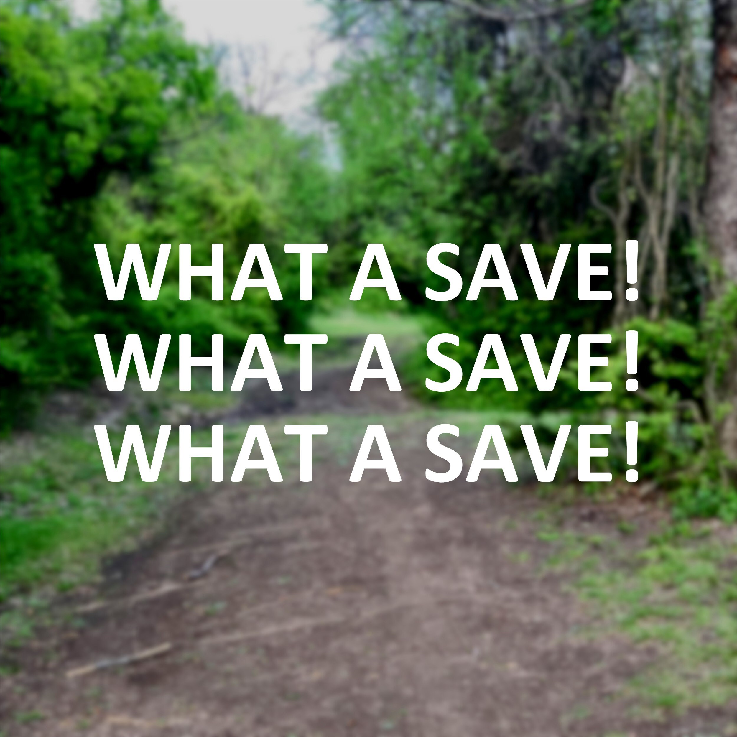 WHAT A SAVE pick Color Vinyl Decal Sticker for | Etsy