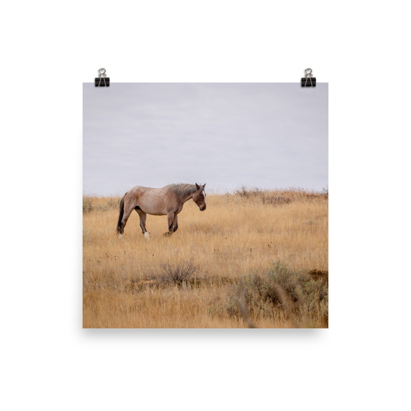 Wild Horse Poster - Etsy
