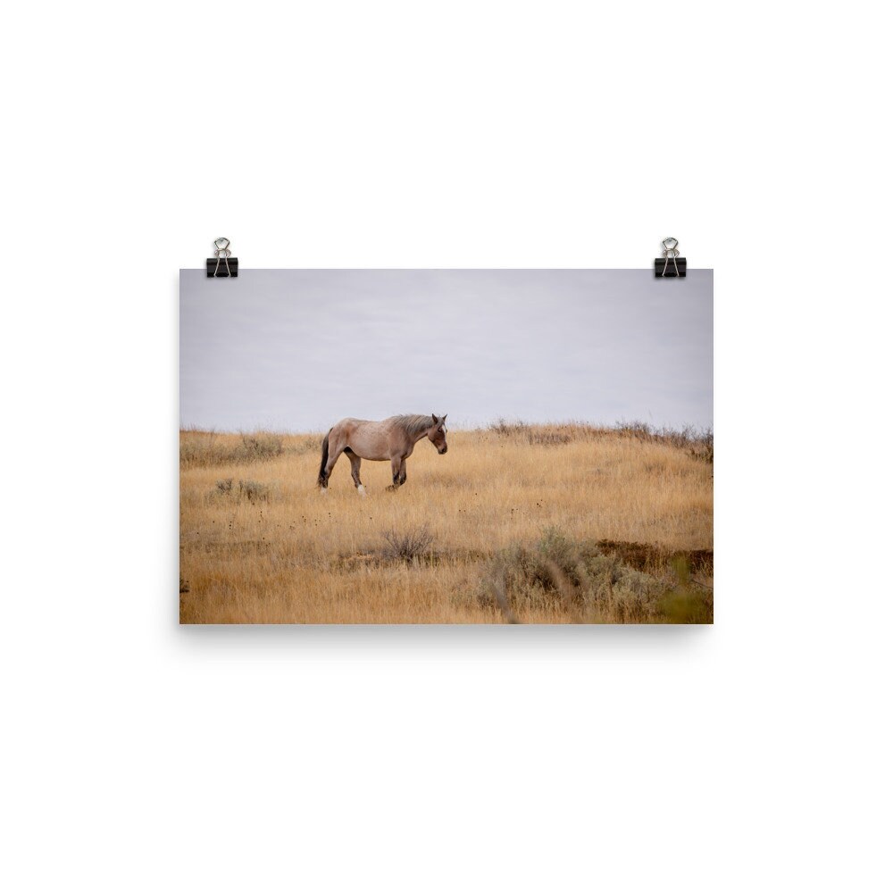 Wild Horse Poster - Etsy