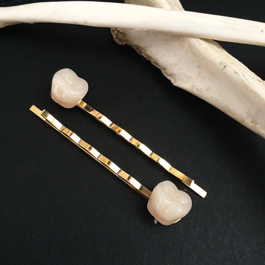 Gold or Black - Molar Human Tooth Hair Clip Pair, Taxidermy and Memento ...
