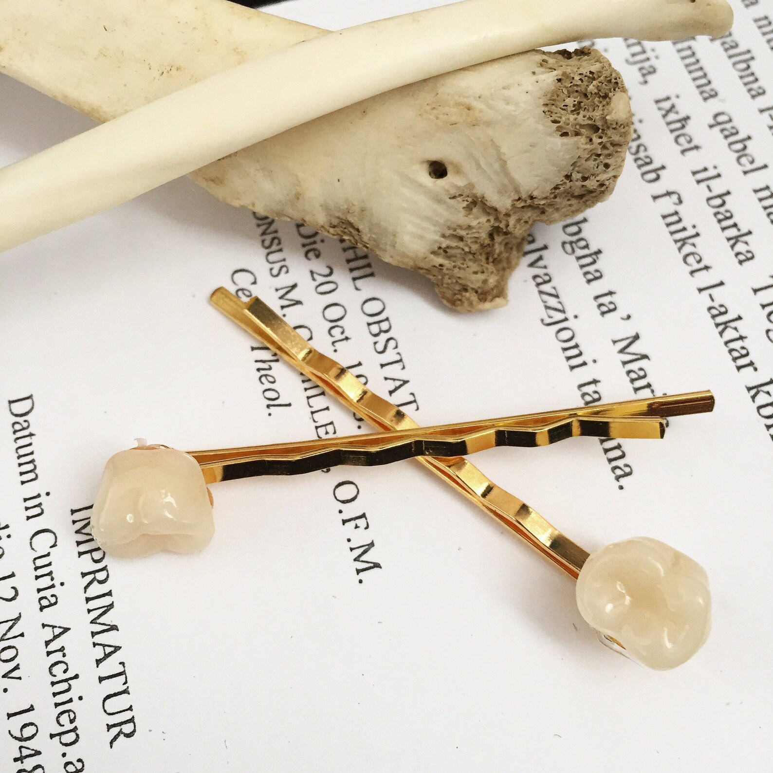 Gold or Black Molar Human Tooth Hair Clip Pair Taxidermy - Etsy
