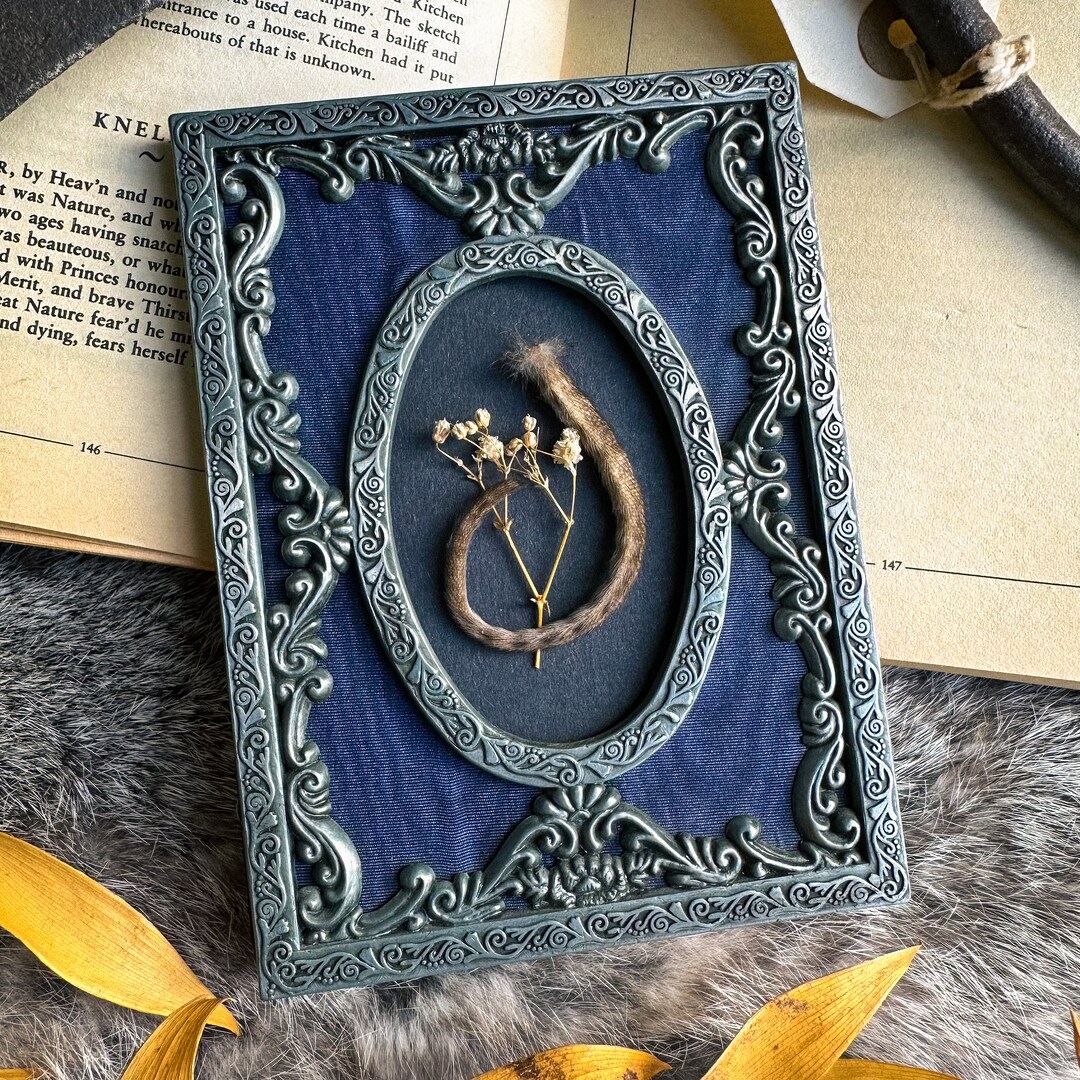 Baby Rat Tail Antique Frame, Gothic Home Decor, Oddities, Curiosities ...