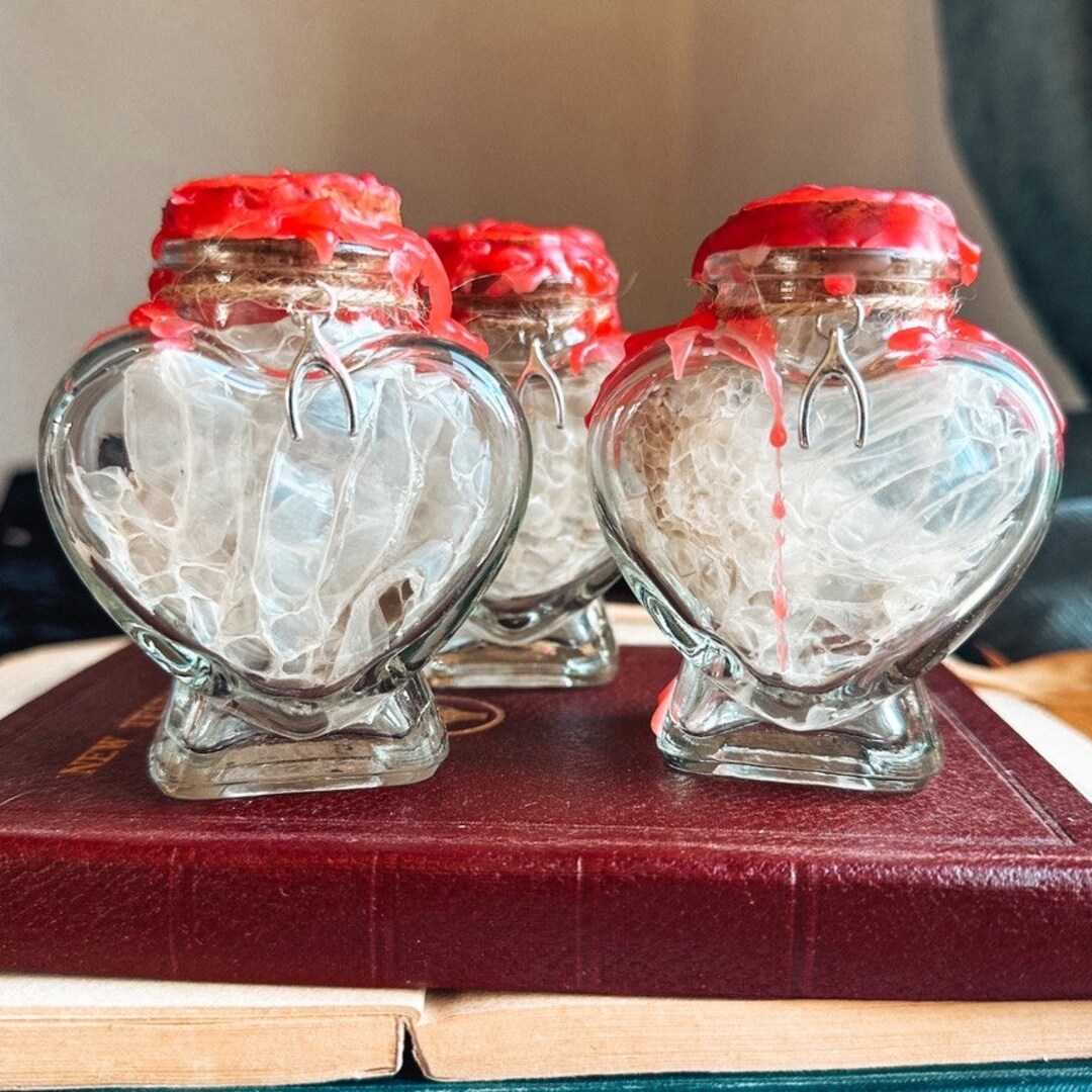 Snake Skin Shed Hear Jar Taxidermy and Oddities Memento - Etsy