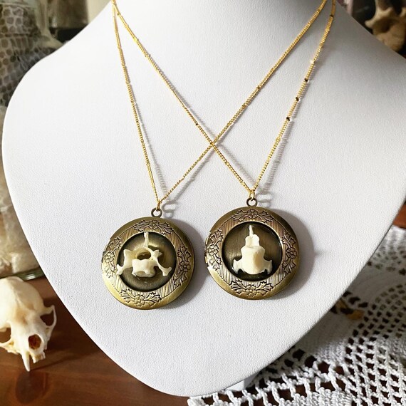 Real Rabbit Vertebrae Bone in Bronze Vintage Victorian Locket - Etsy