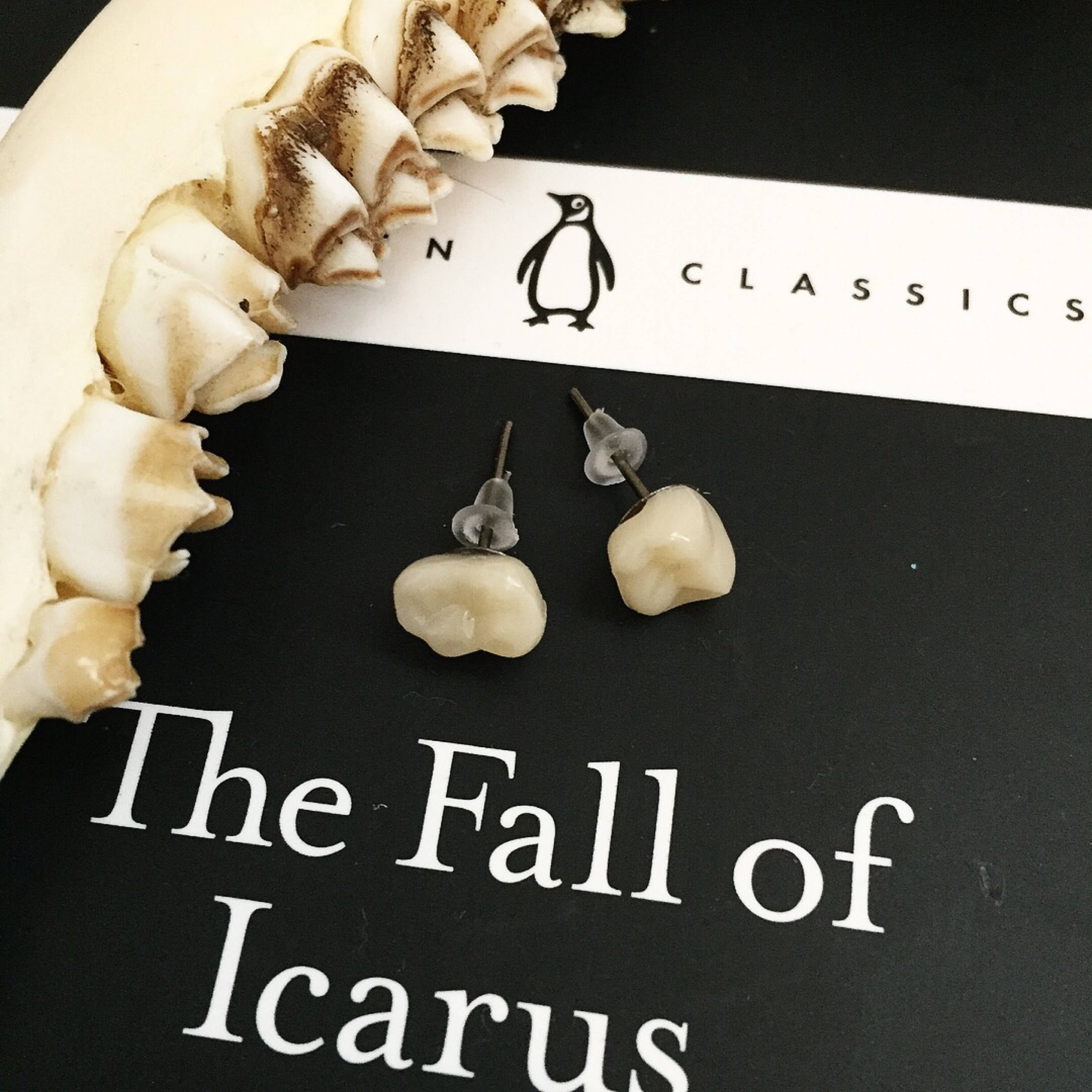 Human Molar Tooth Stud Earrings - Etsy