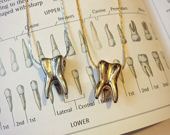 Human tooth necklace | Etsy