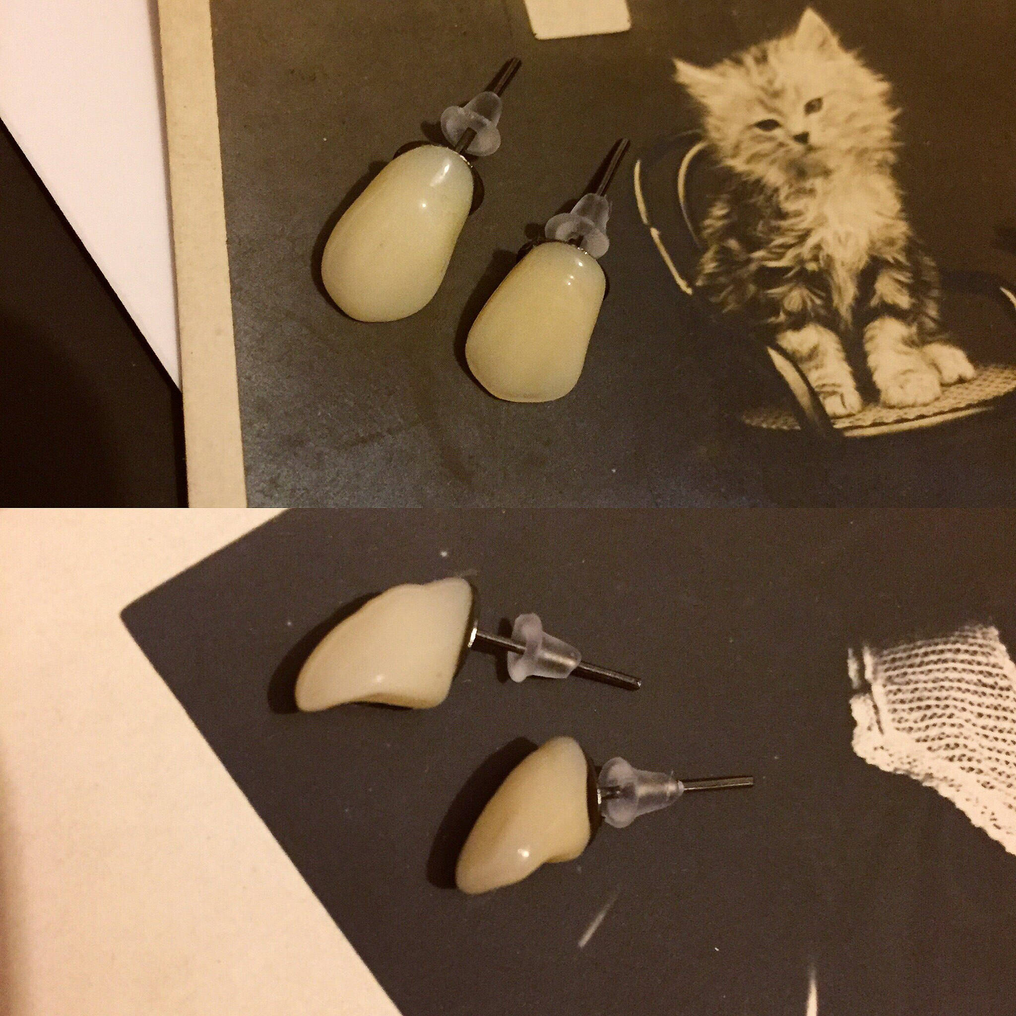 Canine tooth stud earrings | Etsy