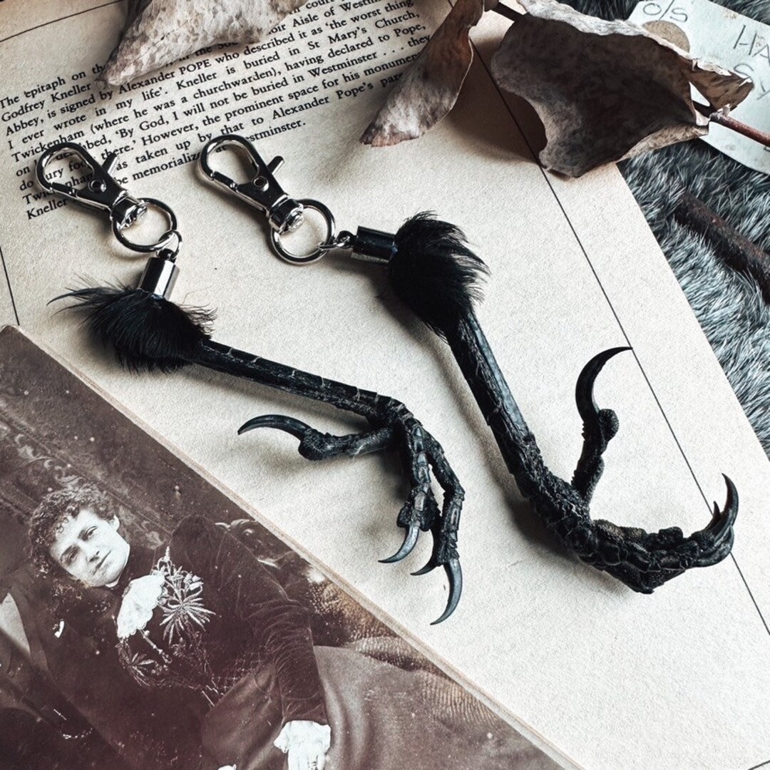Real Crow Claw and Foot Keyring, Taxidermy and Oddities - Etsy