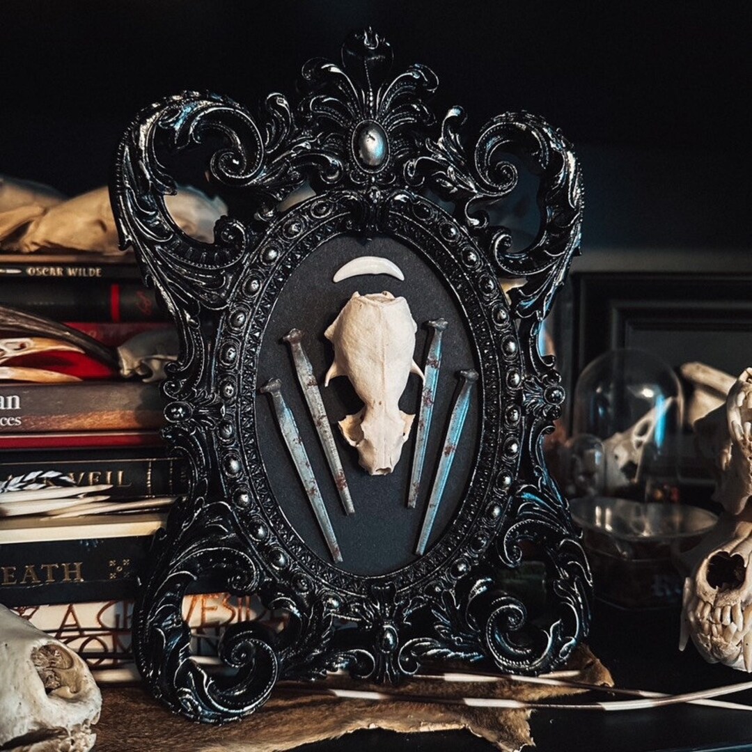 Coffin Nails, Mink Skull & Fox Tooth Gothic Large Frame, Taxidermy ...