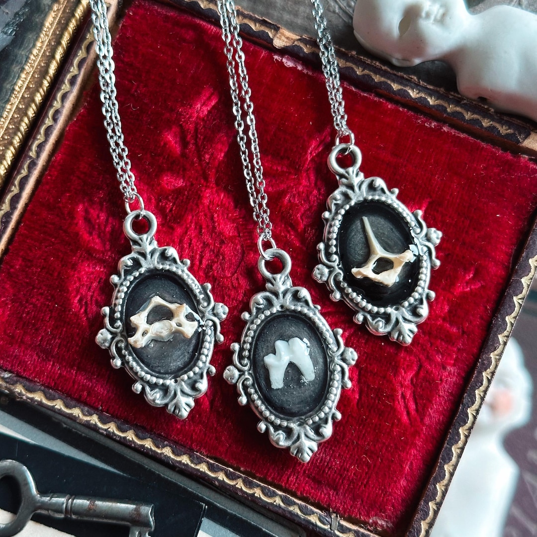 Bone and Tooth Necklace, Gothic Jewelry, Oddities Curiosities, Bone Art ...