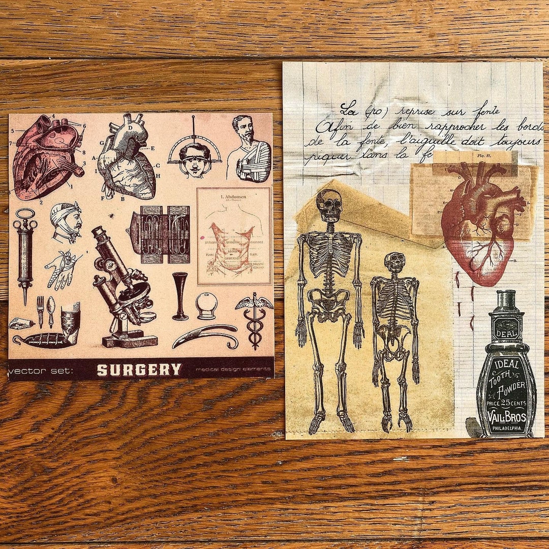 Medical Anatomy Illustration Prints, Vintage & Antique Style, Oddities ...
