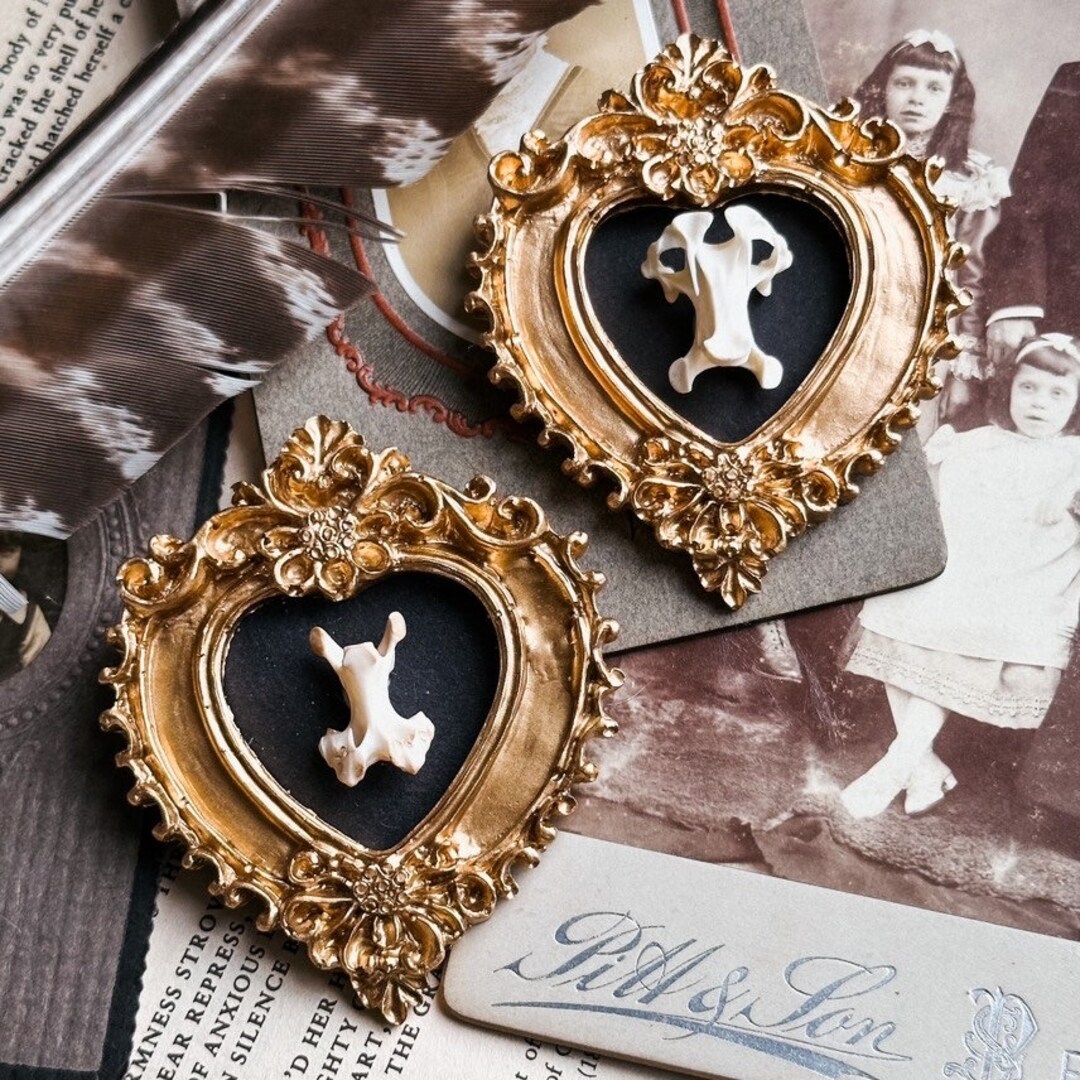 Mini Vertebrae Bone Frames, Taxidermy Oddities & Curiosities, Curio ...