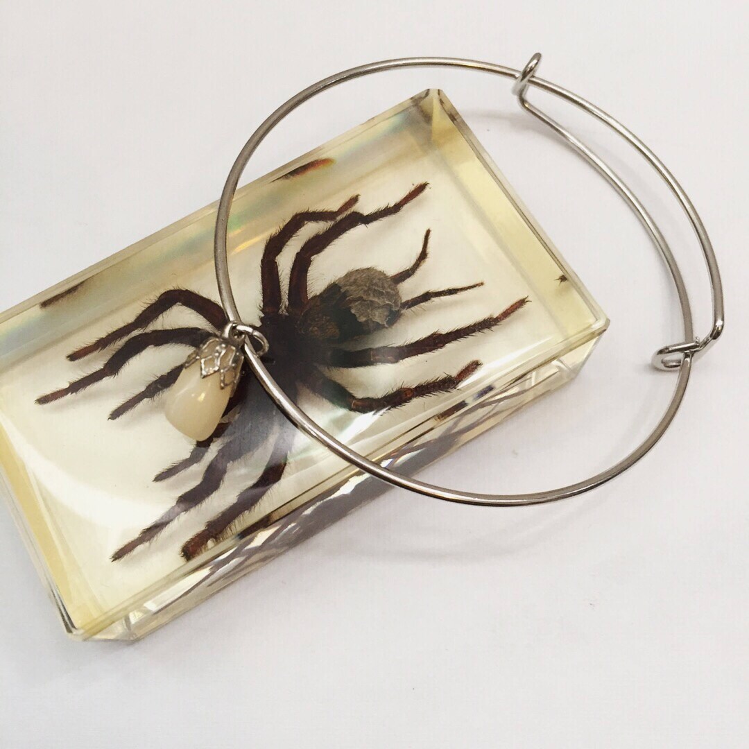 Silver Human Tooth Adjustable Bangle, Taxidermy and Memento Mori - Etsy