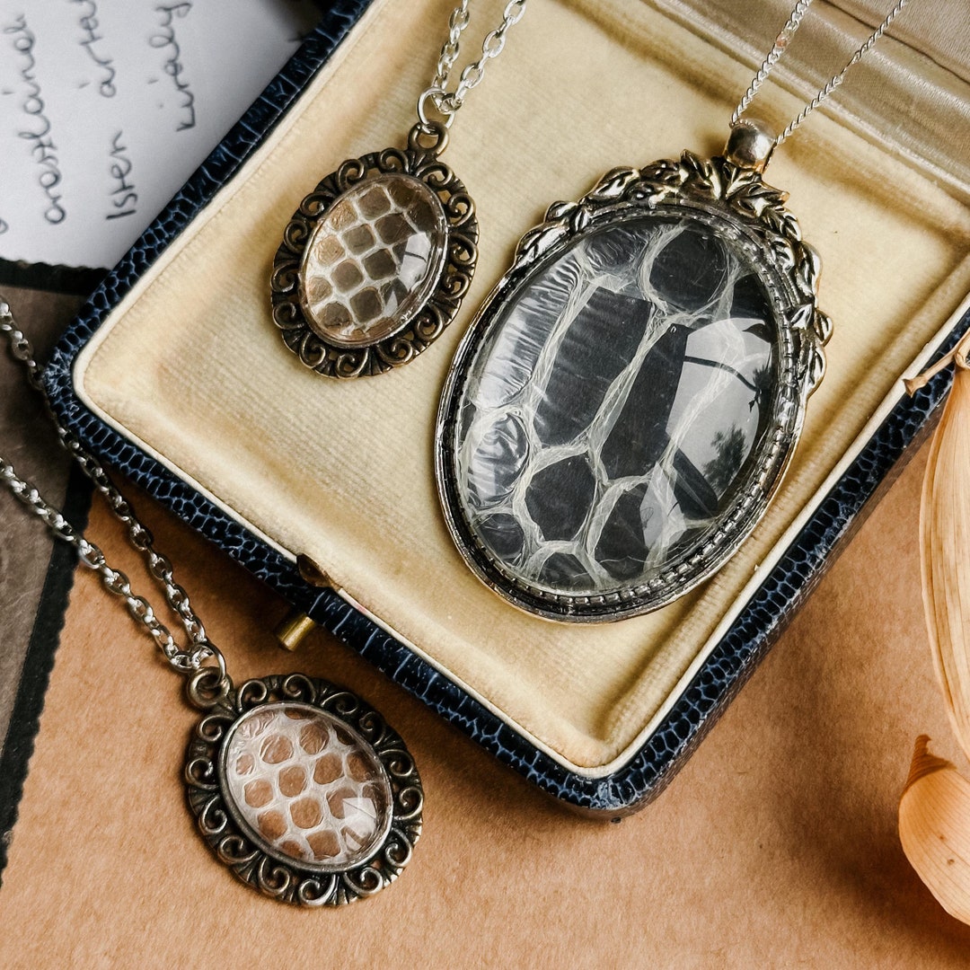 Snake Skin Shed Necklace Pendants, Taxidermy Art, Oddities and ...
