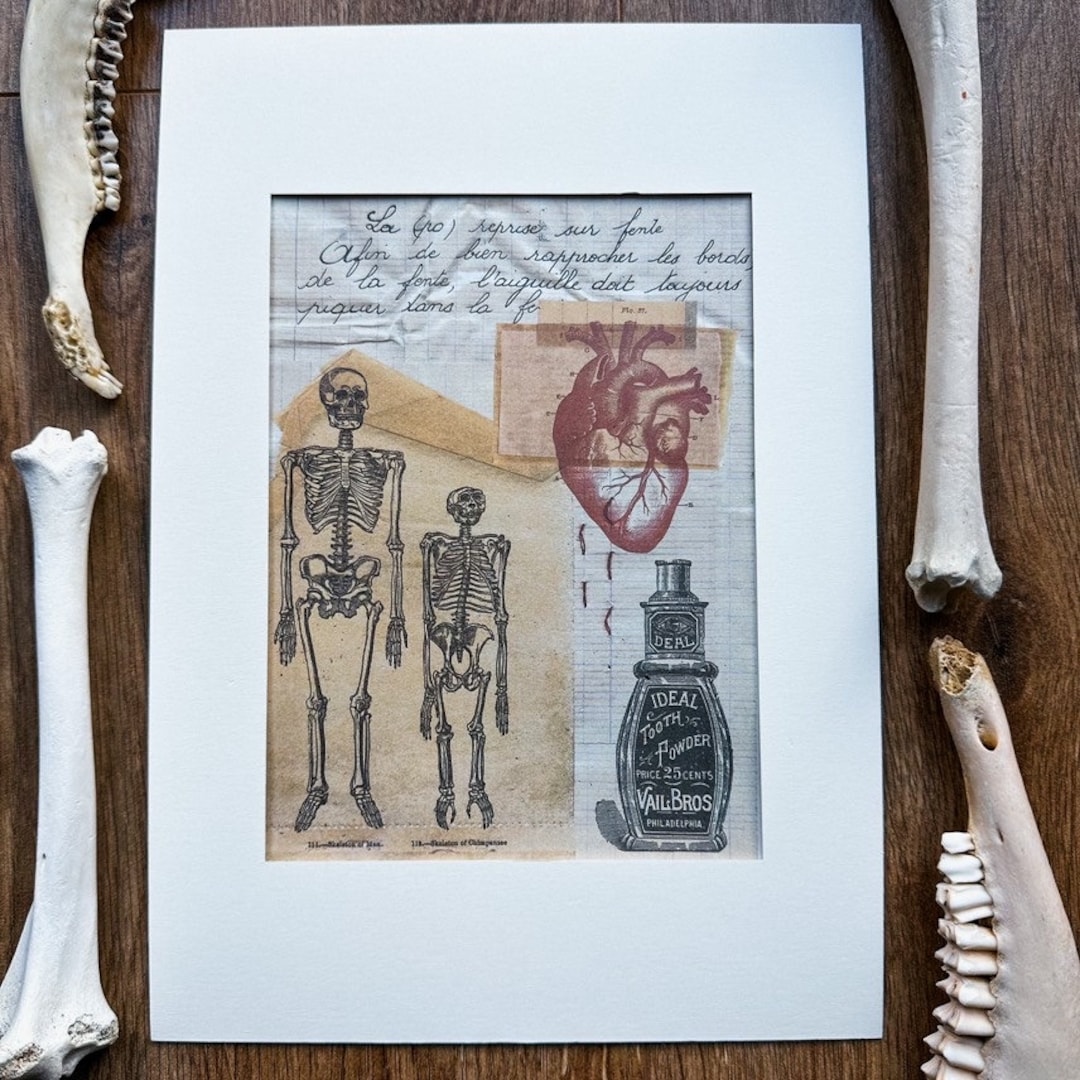 Gothic Skeleton Collage Print, Gothic Home Decor, Taxidermy Osteology ...