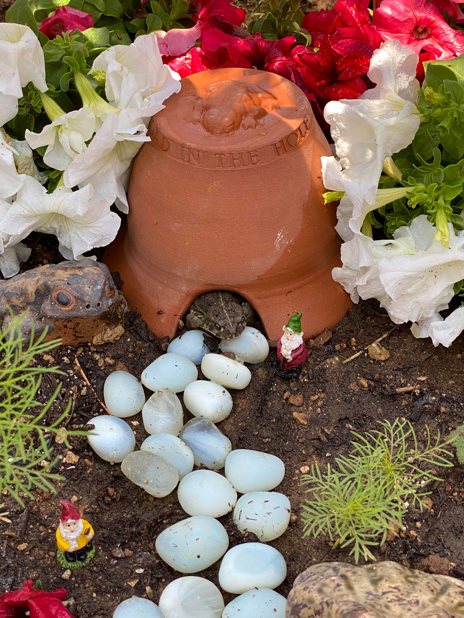 Toad House Garden Terra Cotta Pottery Toad in the Hole - Etsy