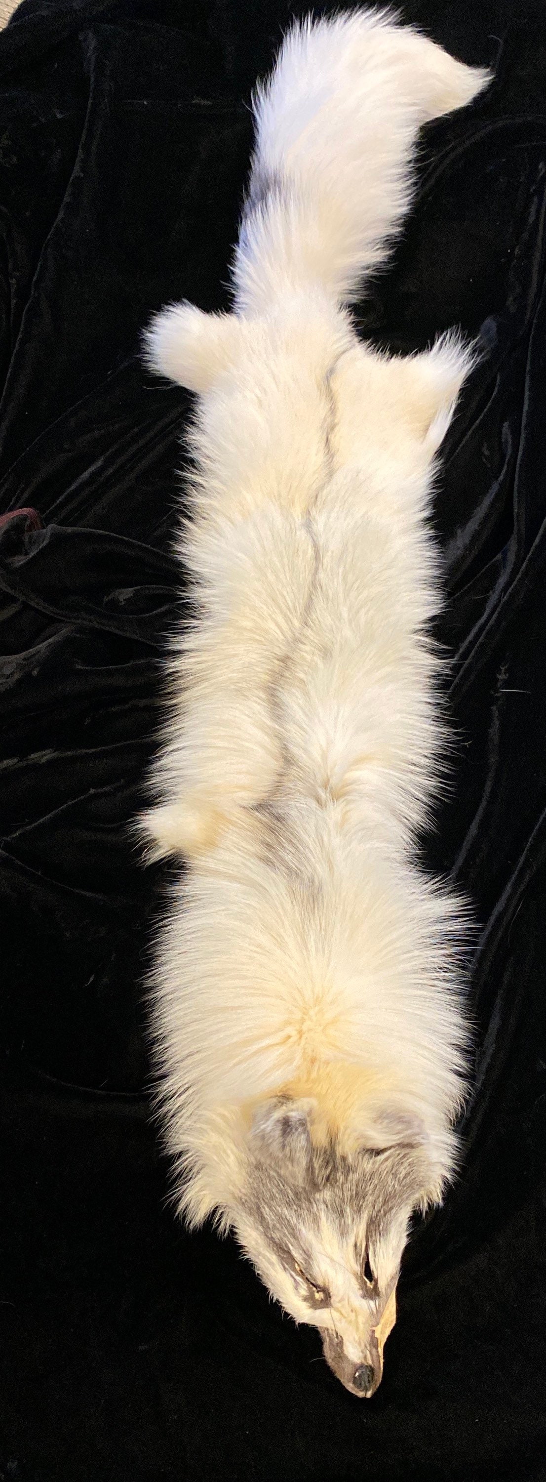 Vintage Full Fox Fur Wrap Stole Shawl Scarf White Wedding Gorgeous ...