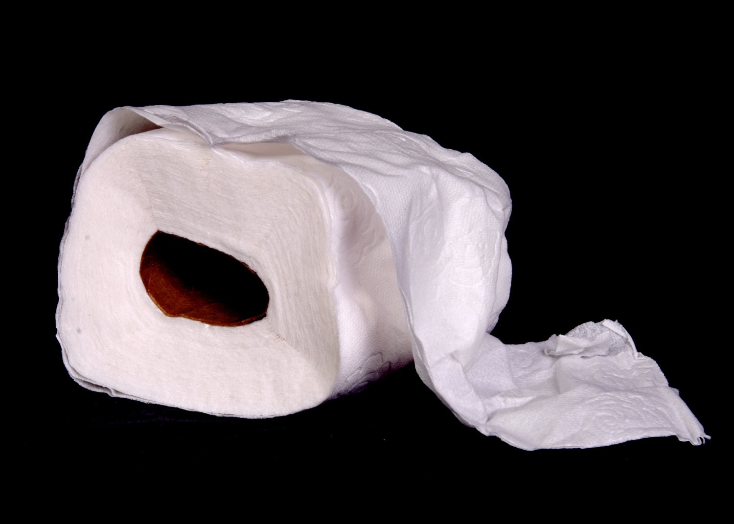 Smooth TP Handcrafted Wooden Roller for Toilet Paper - Etsy