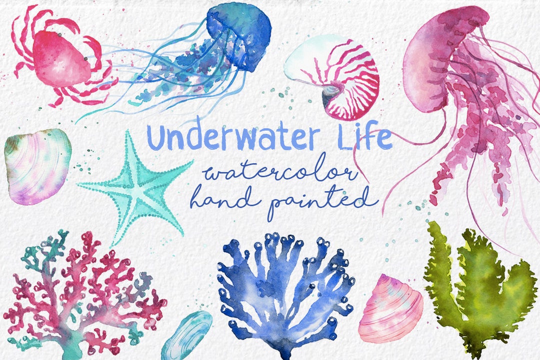 Watercolor Underwater Clipart Set.marine Life Hand Painted,under the ...