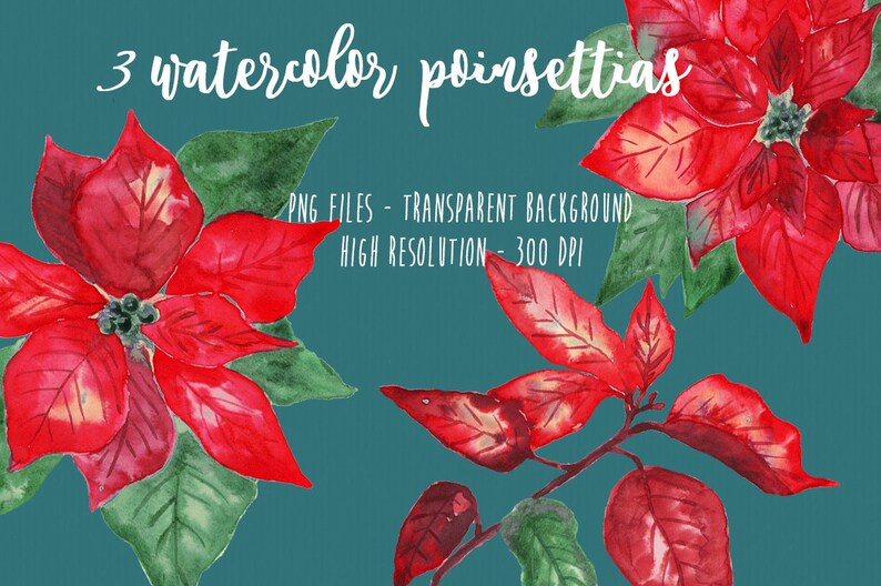 Watercolor Christmas Set Clip Art Hand Painted - Set Leaves and Flowers ...