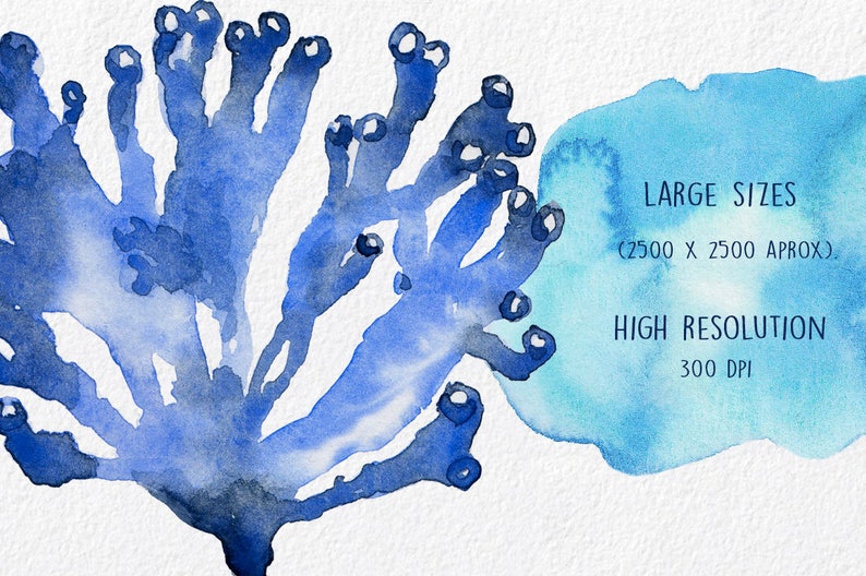 Watercolor Underwater Clipart Set.marine Life Hand Painted,under the ...