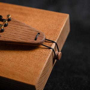 Tagelharpa/talharpa "deer Skull" - Etsy